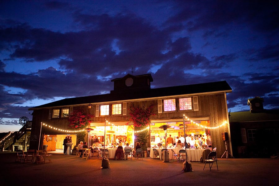 Blue and yellow Holland Ranch wedding