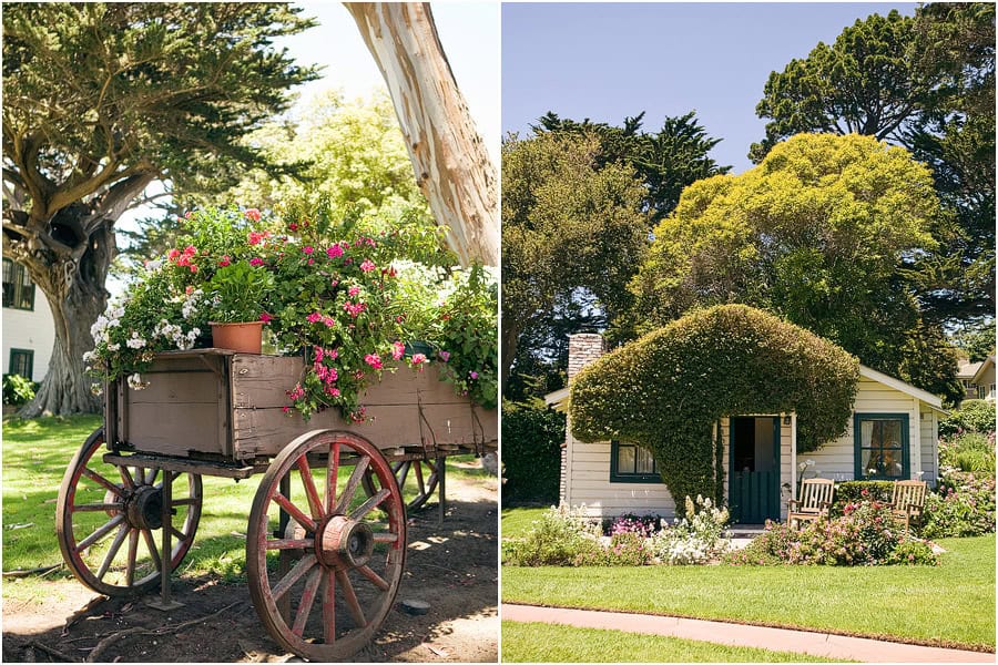 mission ranch wedding » Jen Rodriguez: San Luis Obispo wedding photographer